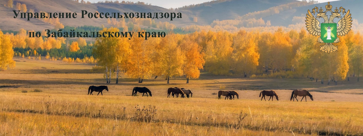 Россельхознадзор по Забайкальскому краю