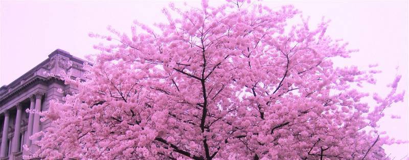 Головоломки, поиск предметов Александр Обухов