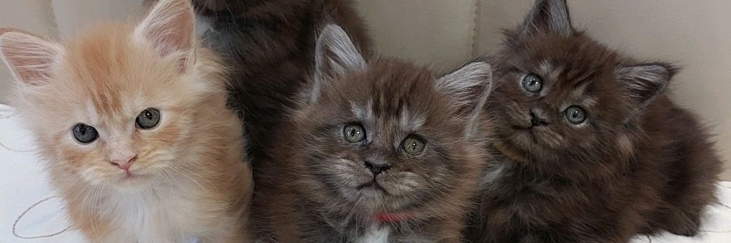 Я люблю свою работу