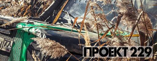 Проект 229