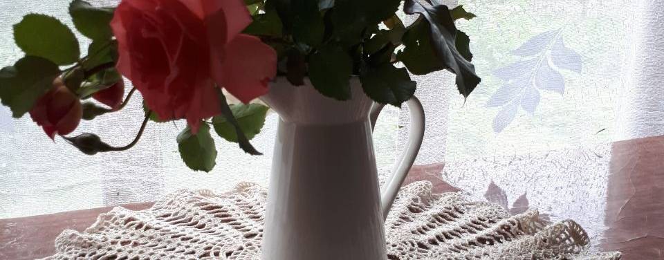 rutube_account_1208684