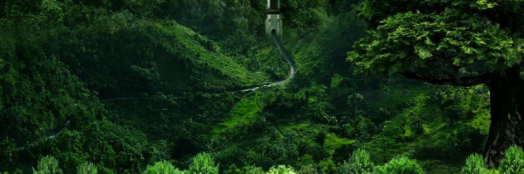 Дилетант широкого профиля