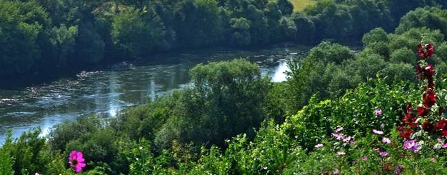 Светлана Бузаева.