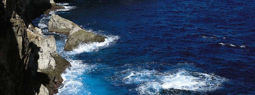 Всяко-Разно