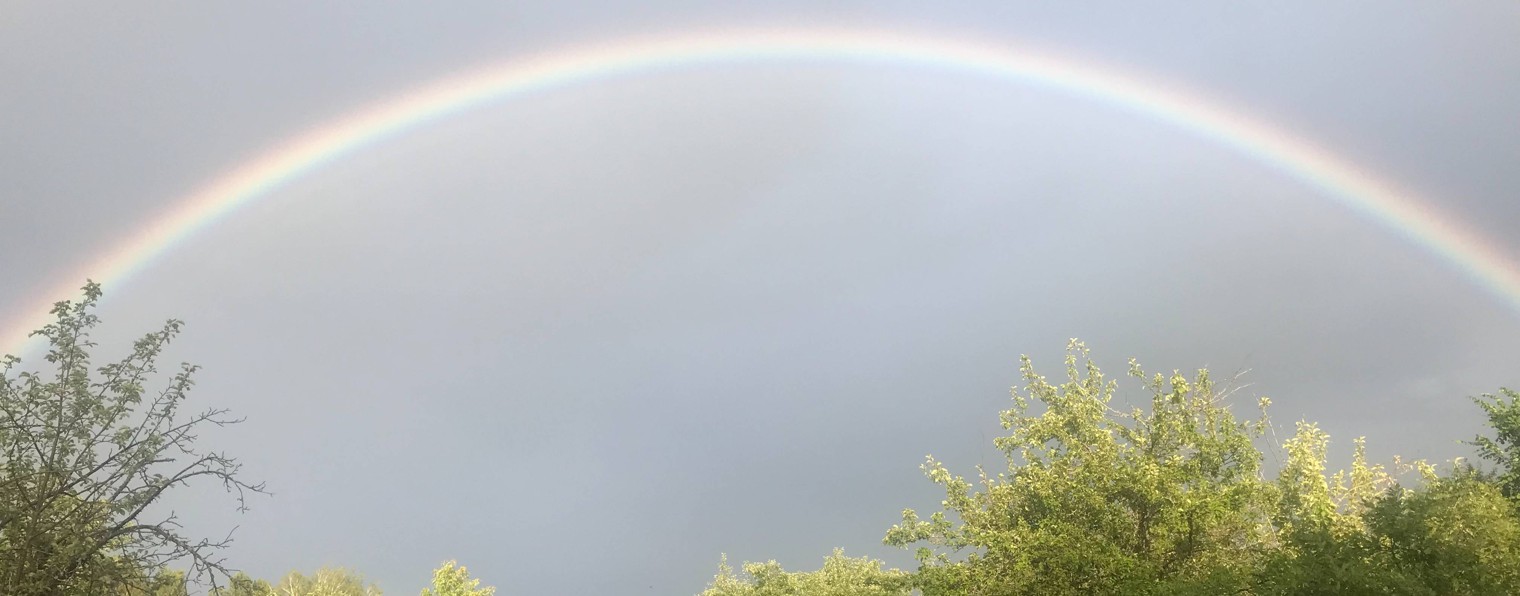 Дачка на прокачку!