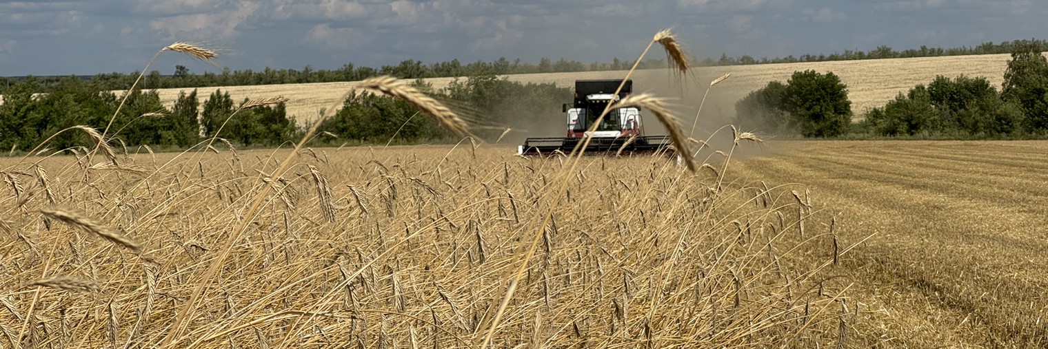 КФХ-Новая-Жизнь