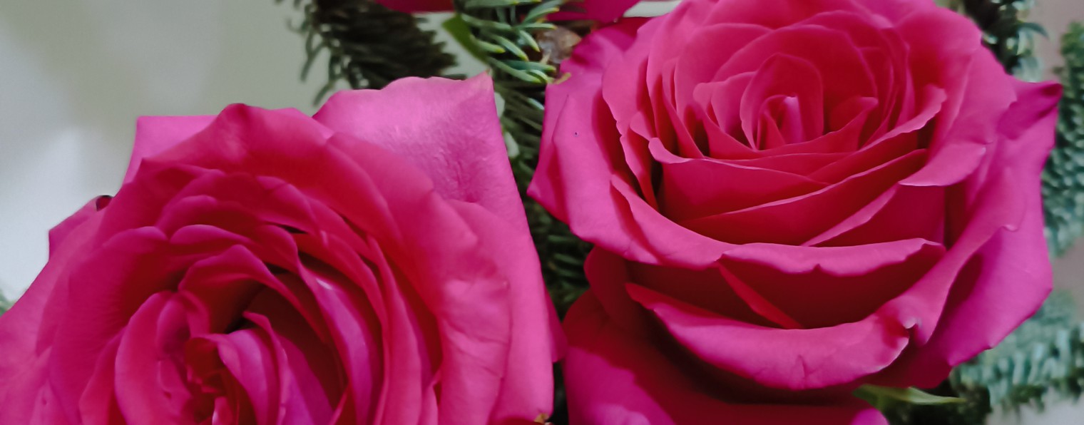 Ленчик "ШАТУНОВЫ" Life