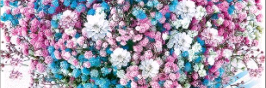 На серьёзных щах