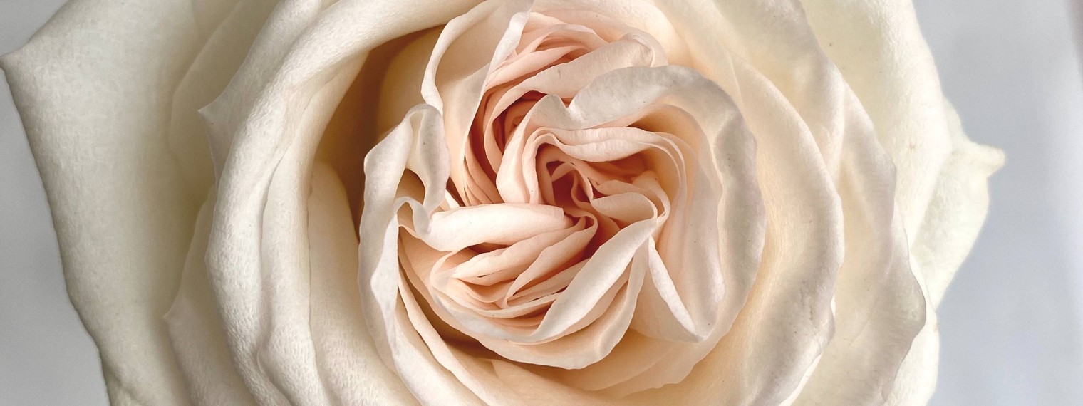 Александр Поляшов