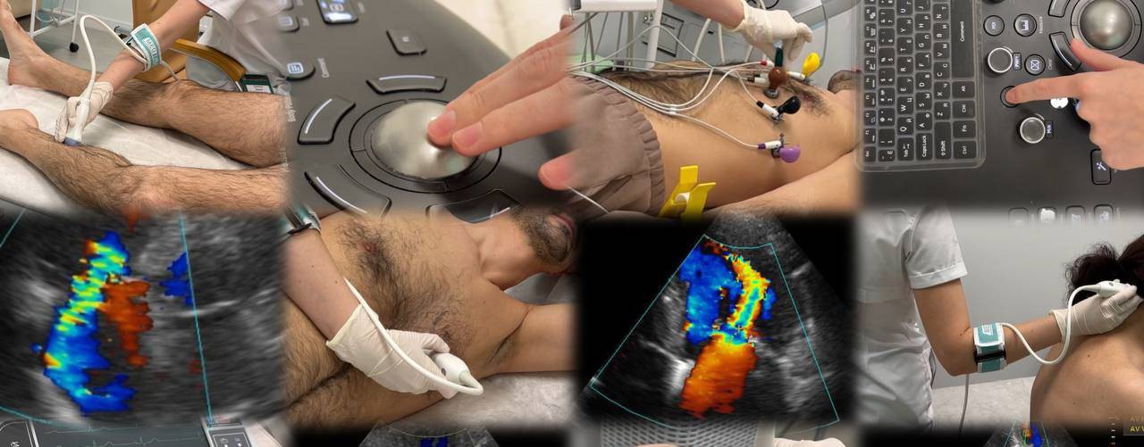 Шандер Дарья. Функциональная диагностика