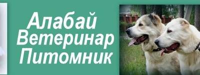 Алабай, ветеринар, питомник.
