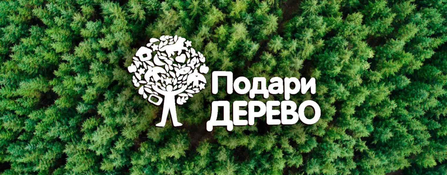 Подари Дерево