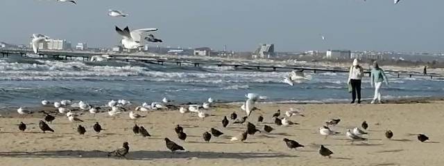 Инга из Анапы