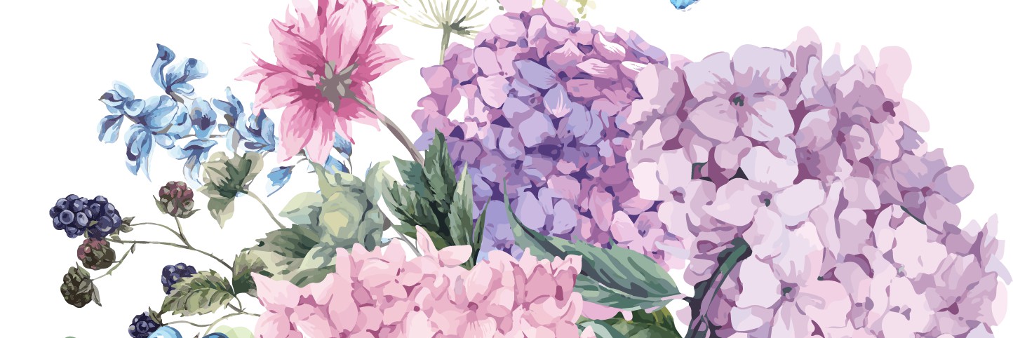 Питомник гортензий МЕЧТА