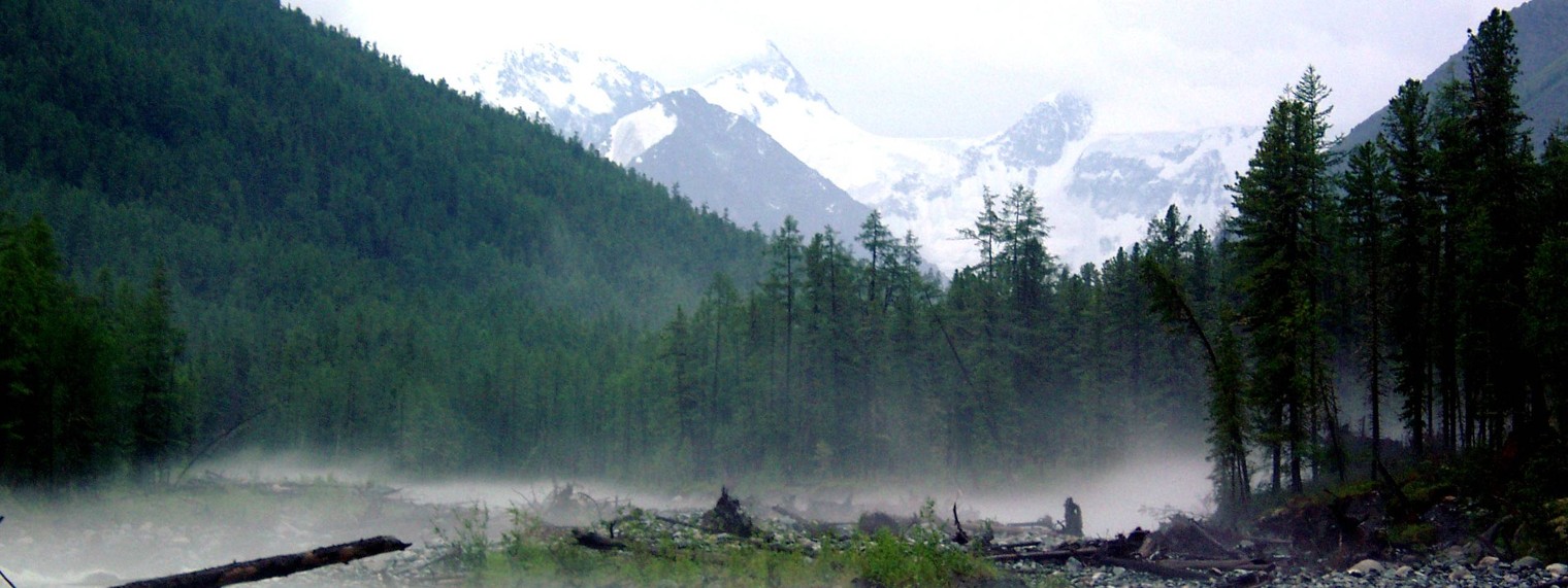 ШЕСТИЛАП ЭКТ