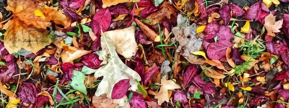 Валерия А.К.