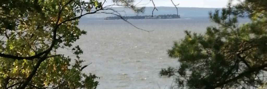 Симбирский Контроль