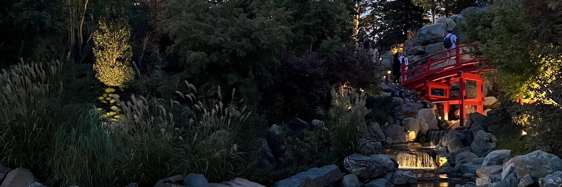 Юлия Шлыкова