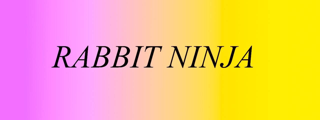 Rabbit Ninja