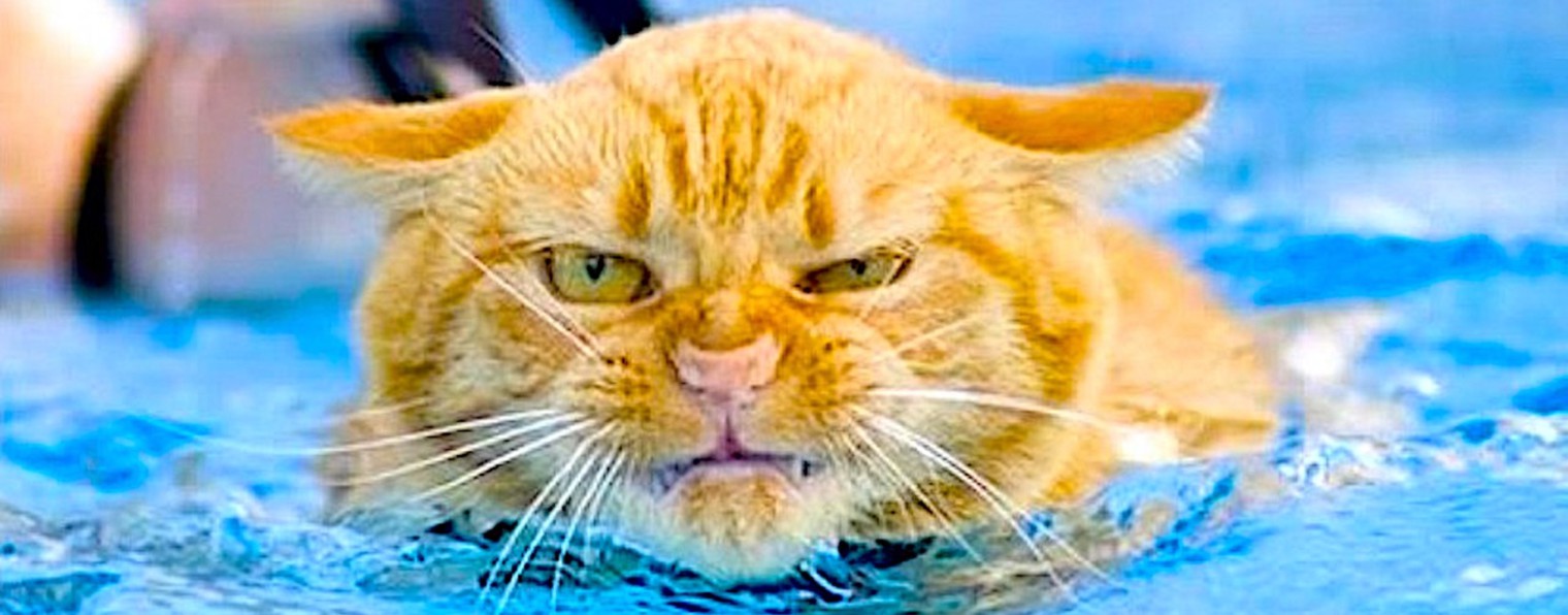 Недвижимость, Inside.