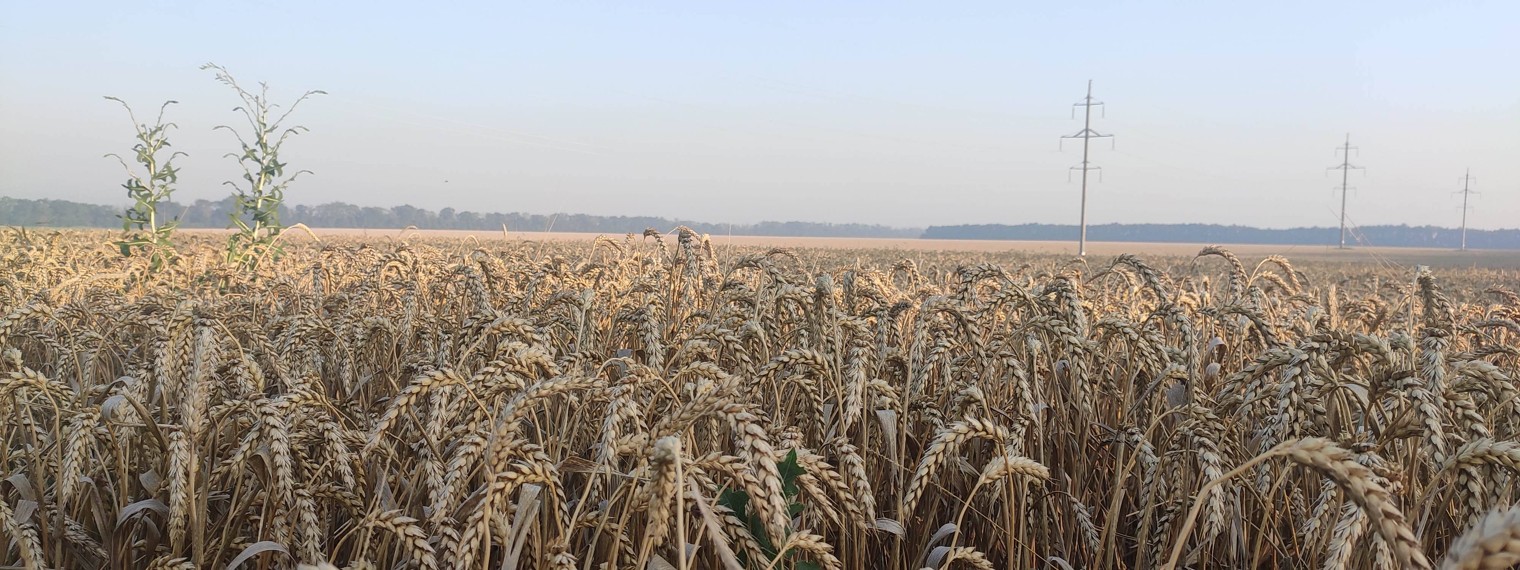 Валерий техремонт