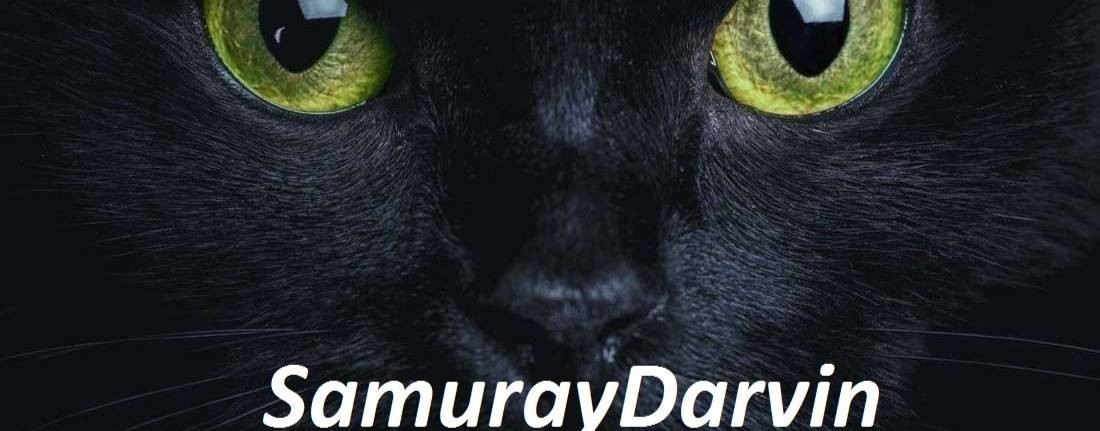 SamurayDarvin