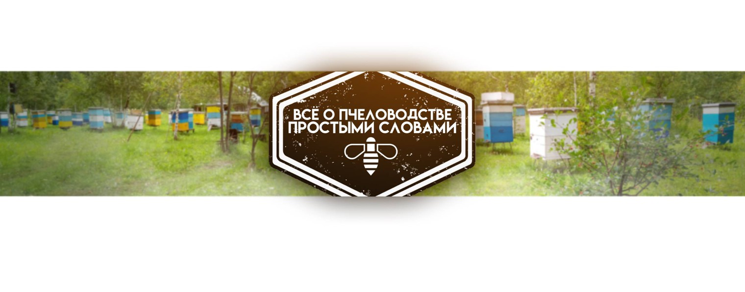 Из жизни пчеловода