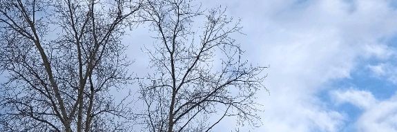 Нина Тарасова