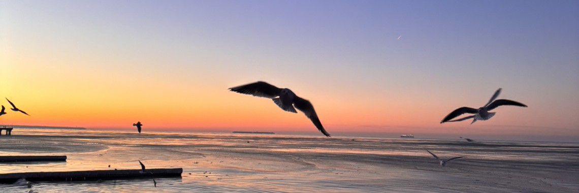 Империя счастья и любви