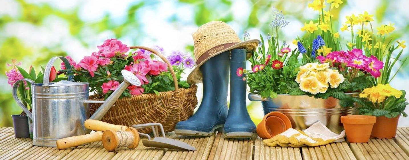 Теплицы GLASS HOUSE