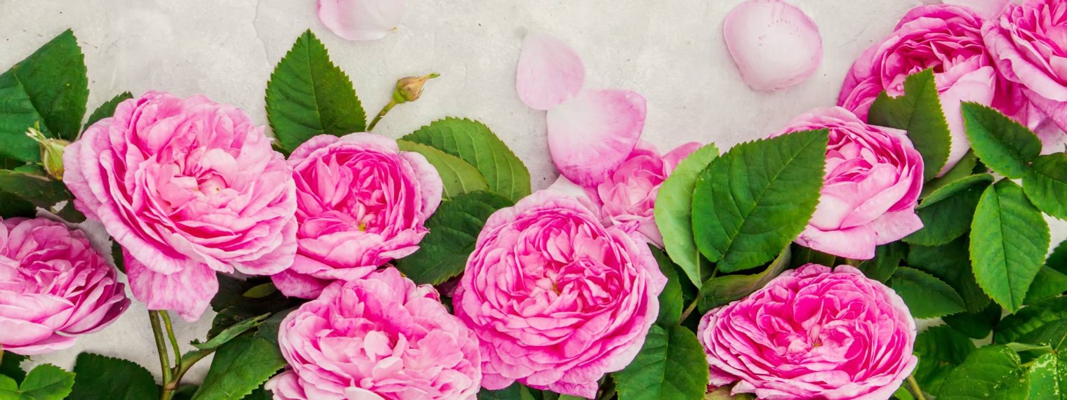 Стихи о жизни и любви.