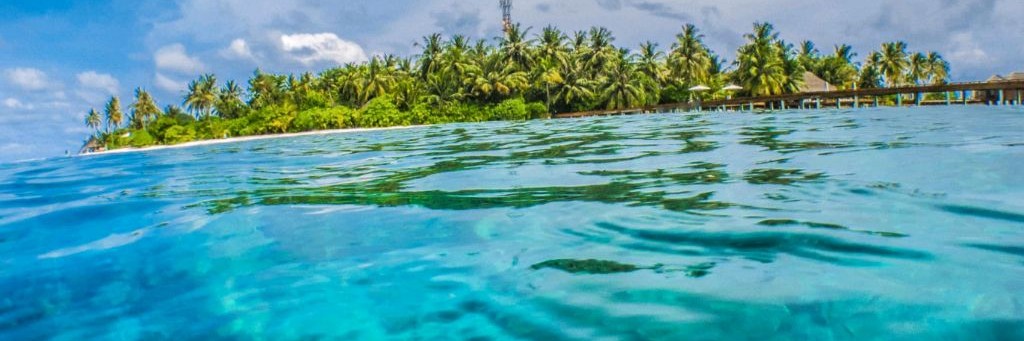 Посадка Деревьев