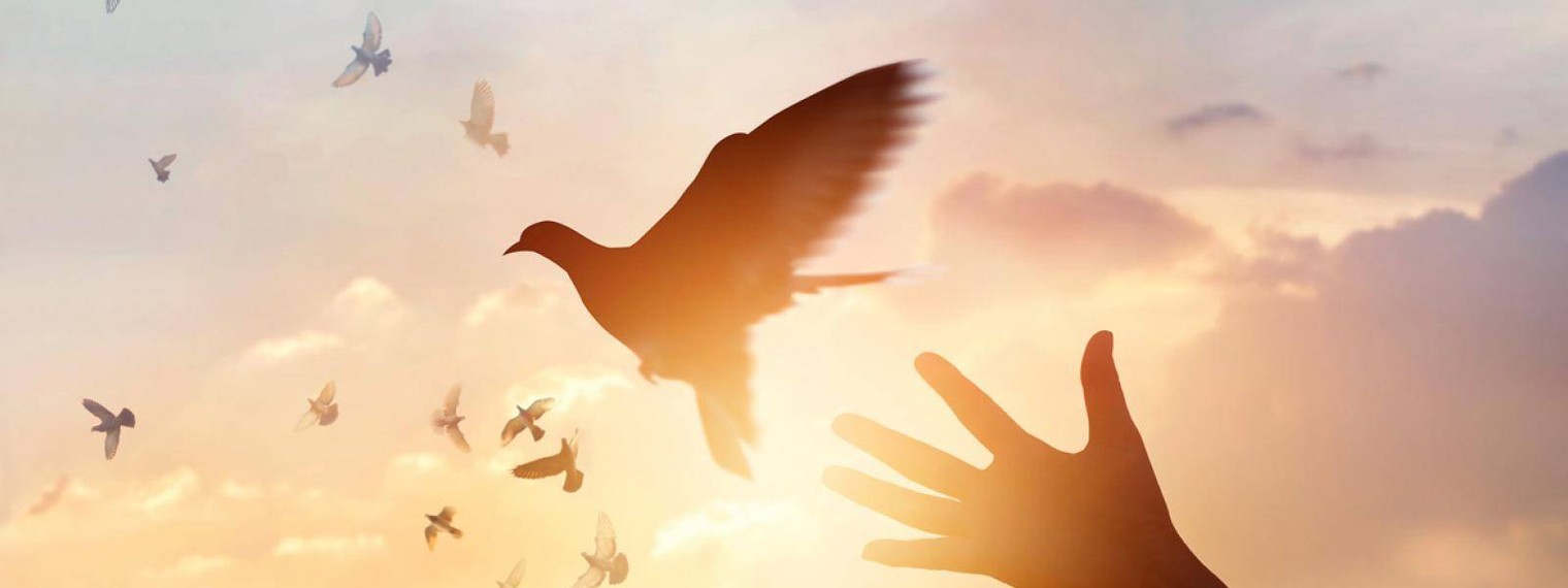 КАНАЛ ДОБРО