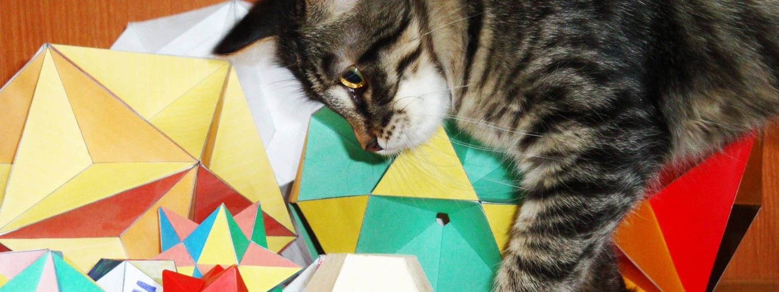 Многогранники