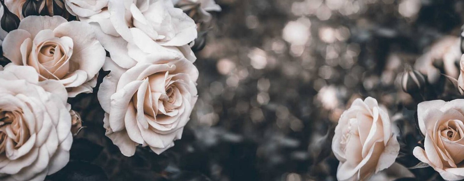 Стабилизированные цветы