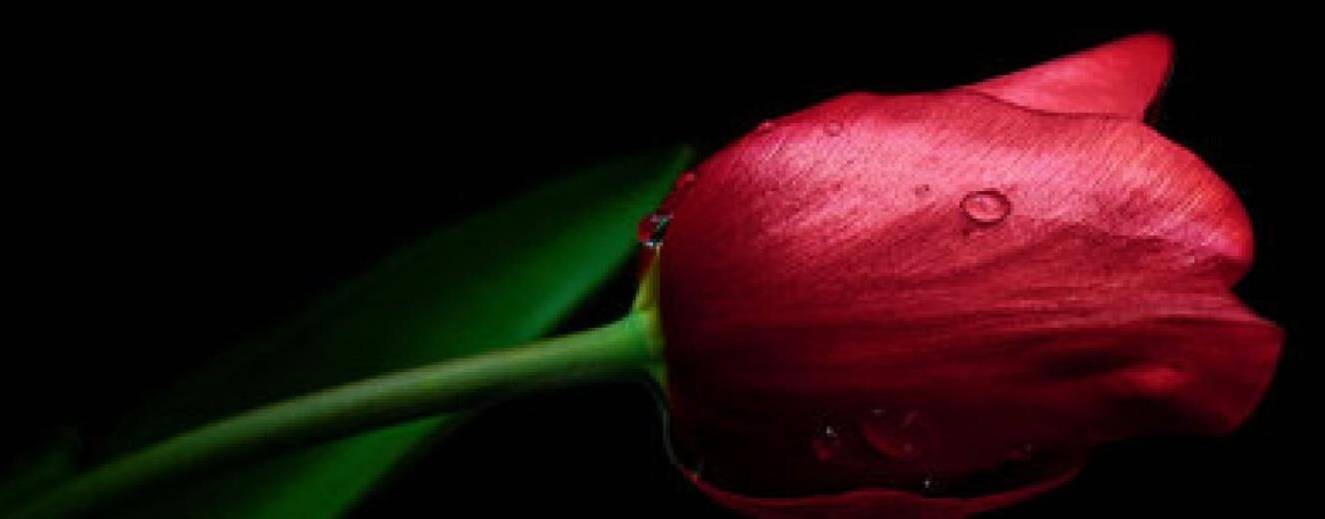 Shymkent 17 Регион