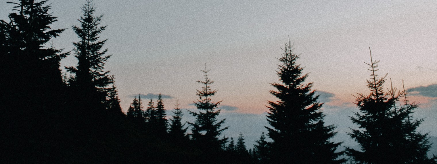 Люблю себя любой