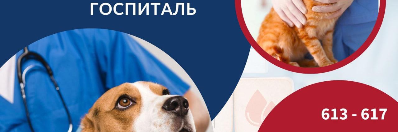 Veterinaryhospital34