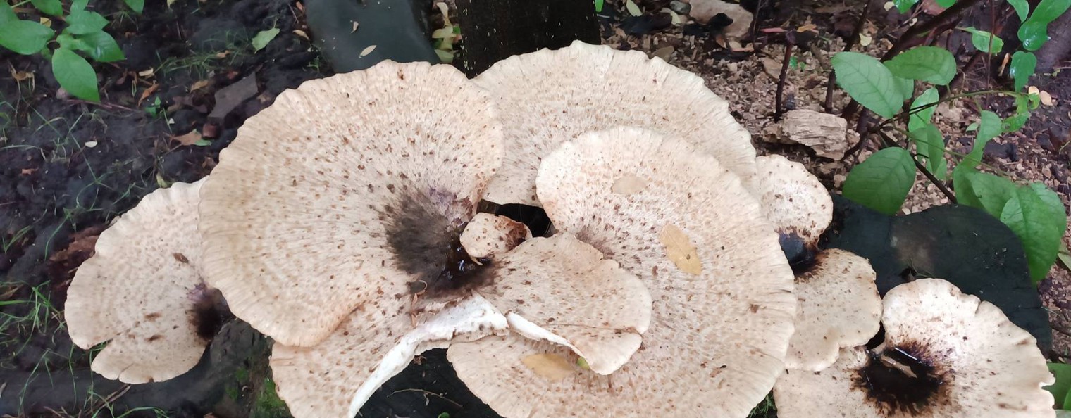 Век живи - век учись