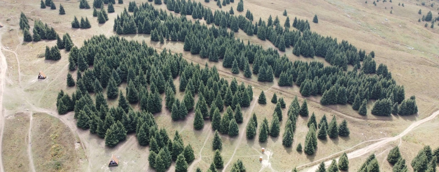 НАДО ЕХАТЬ – как я провел лето