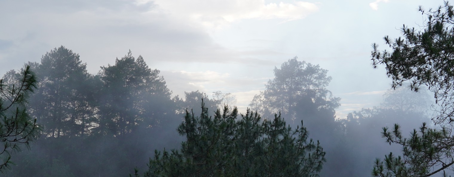 Анатолий Логинов