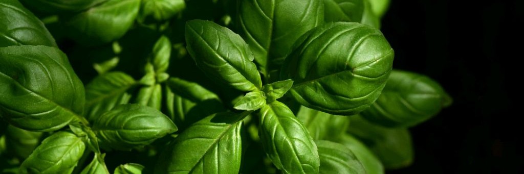 Готовим с Katrin Boo