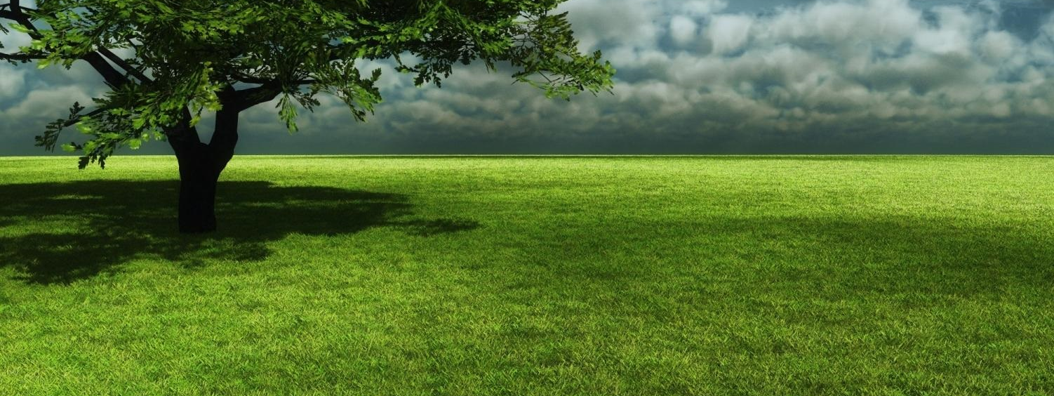 Александр Лебедев