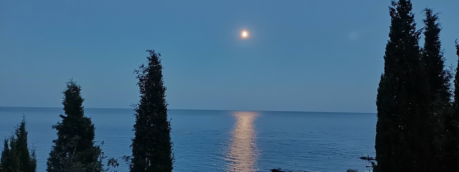 Владимир Бесфамильный