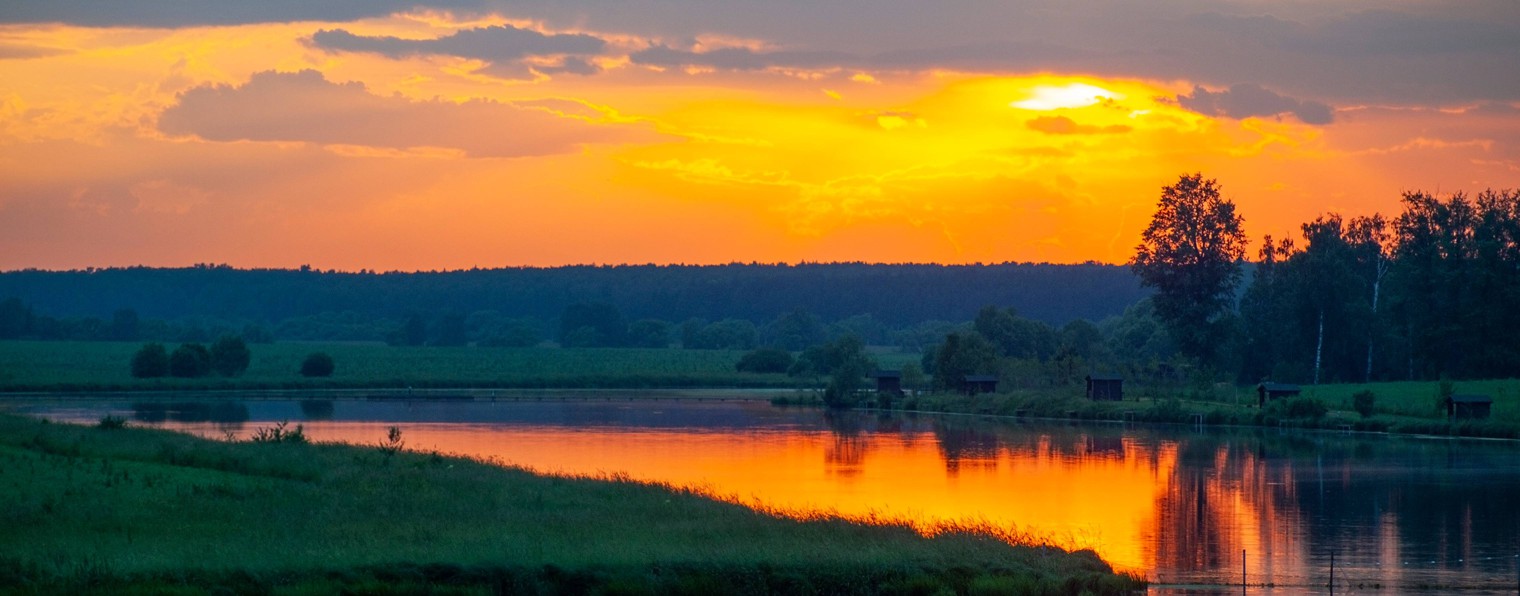 Александр Самбуров