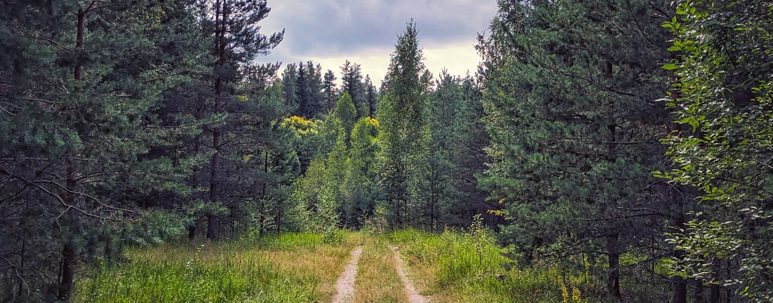 Шурочкины Прогулочки