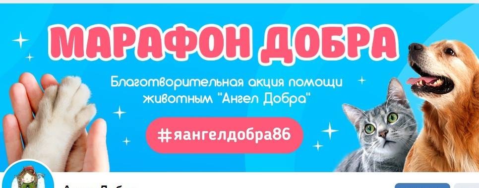 Ангел Добра благотворительная акция