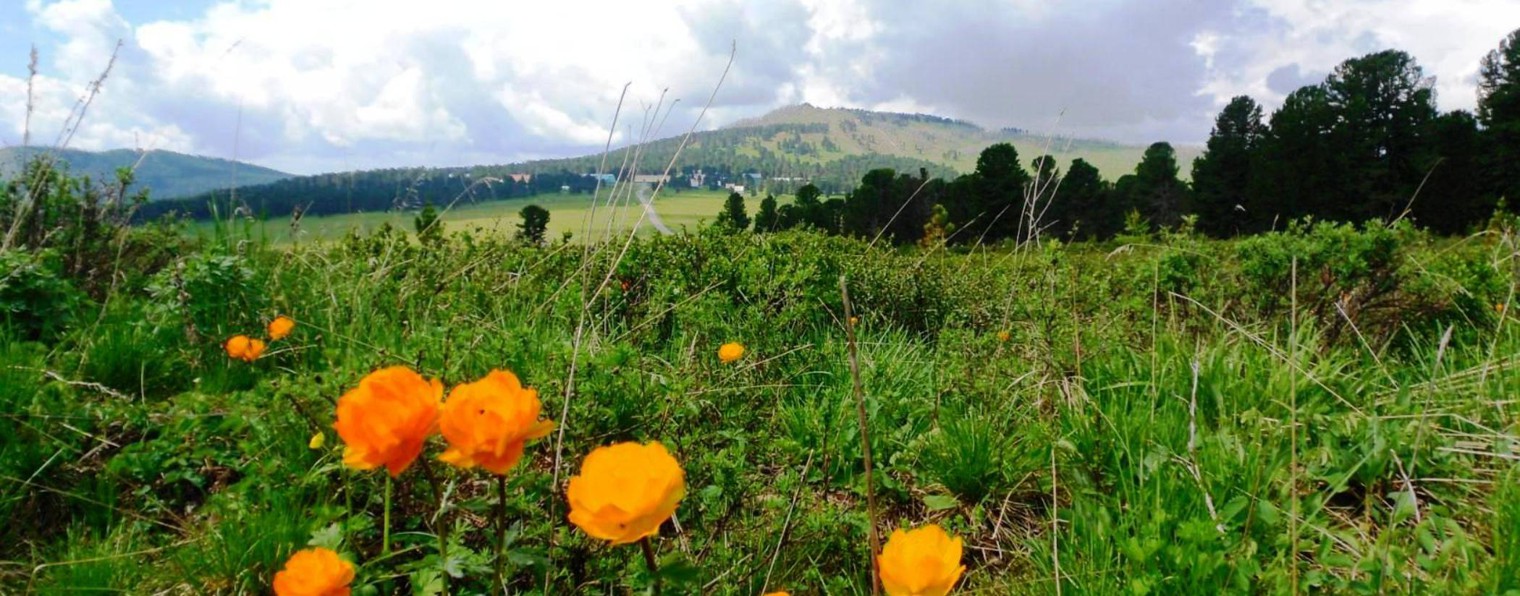Белокурихинская городская библиотека