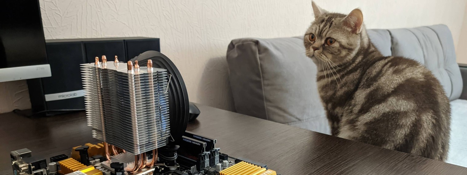Nikon The Cat