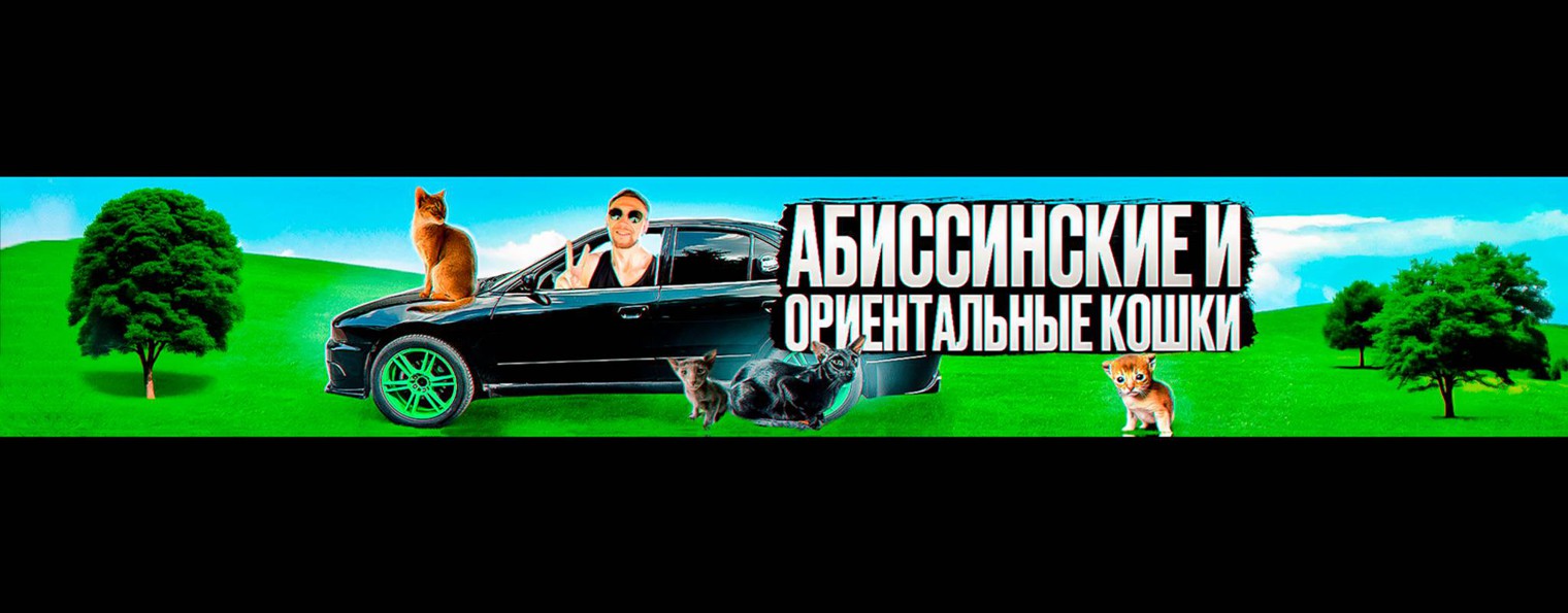 Кошачий Отец